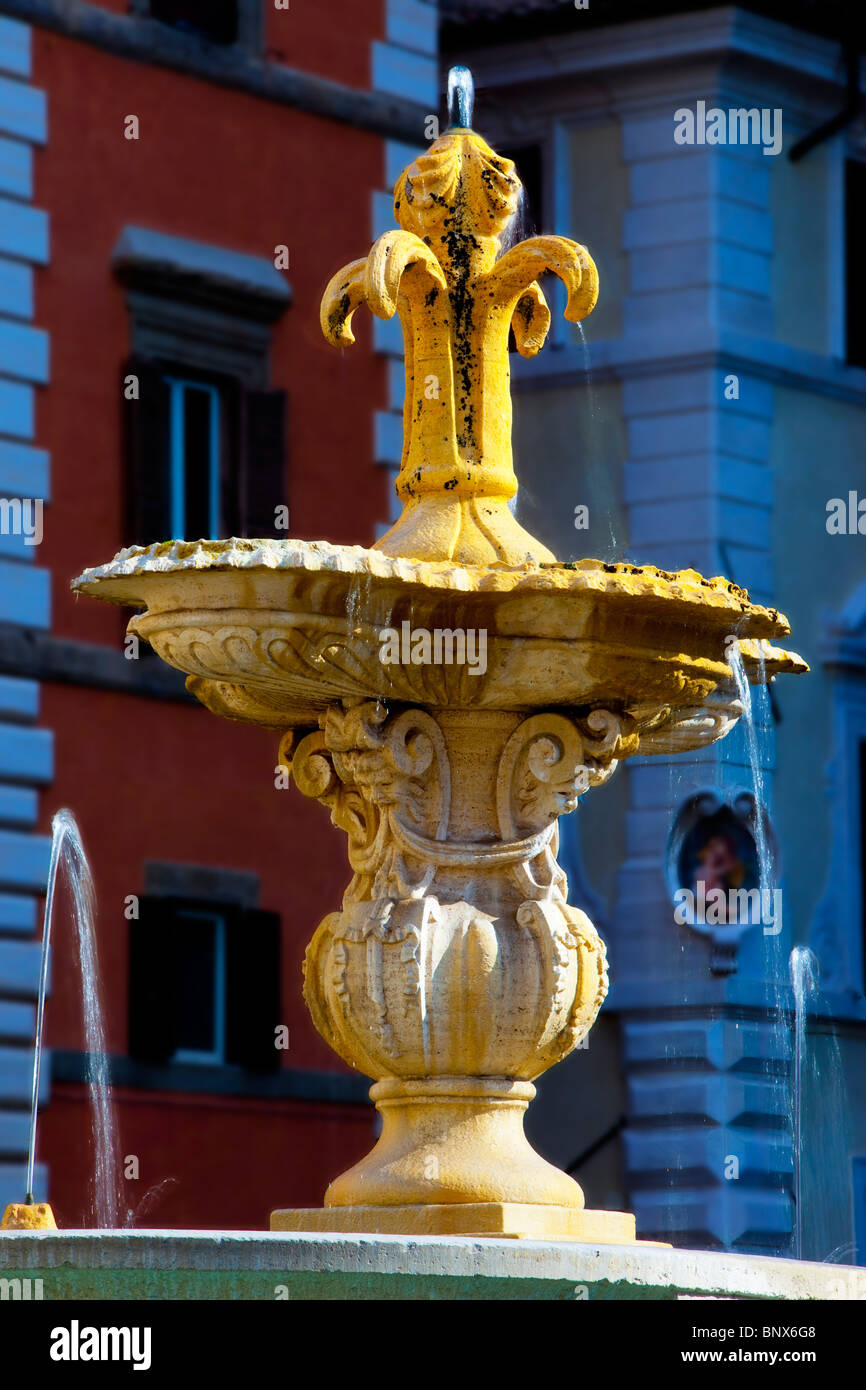 Fountain in Piazza Farnese - across from the French Embassy, Rome Lazio ...
