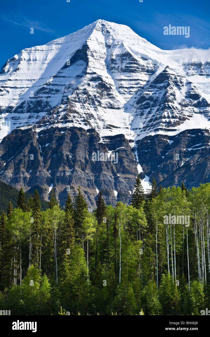 Mt Robson 3954m the highest point in Canadian Rockies viewed from the ...