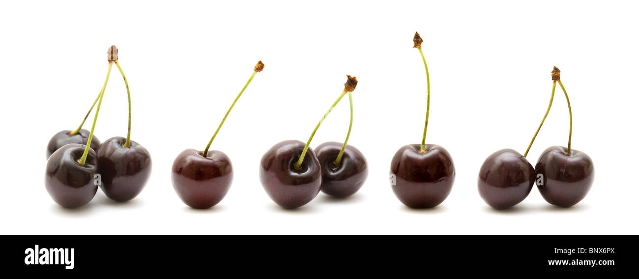 dark red cherry border Stock Photo - Alamy