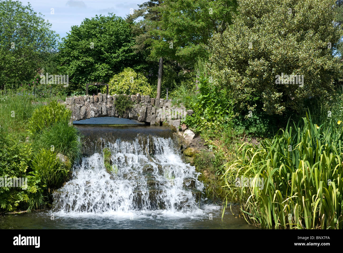 Christian gardens waterfall bishops palace grounds wells water fall ...