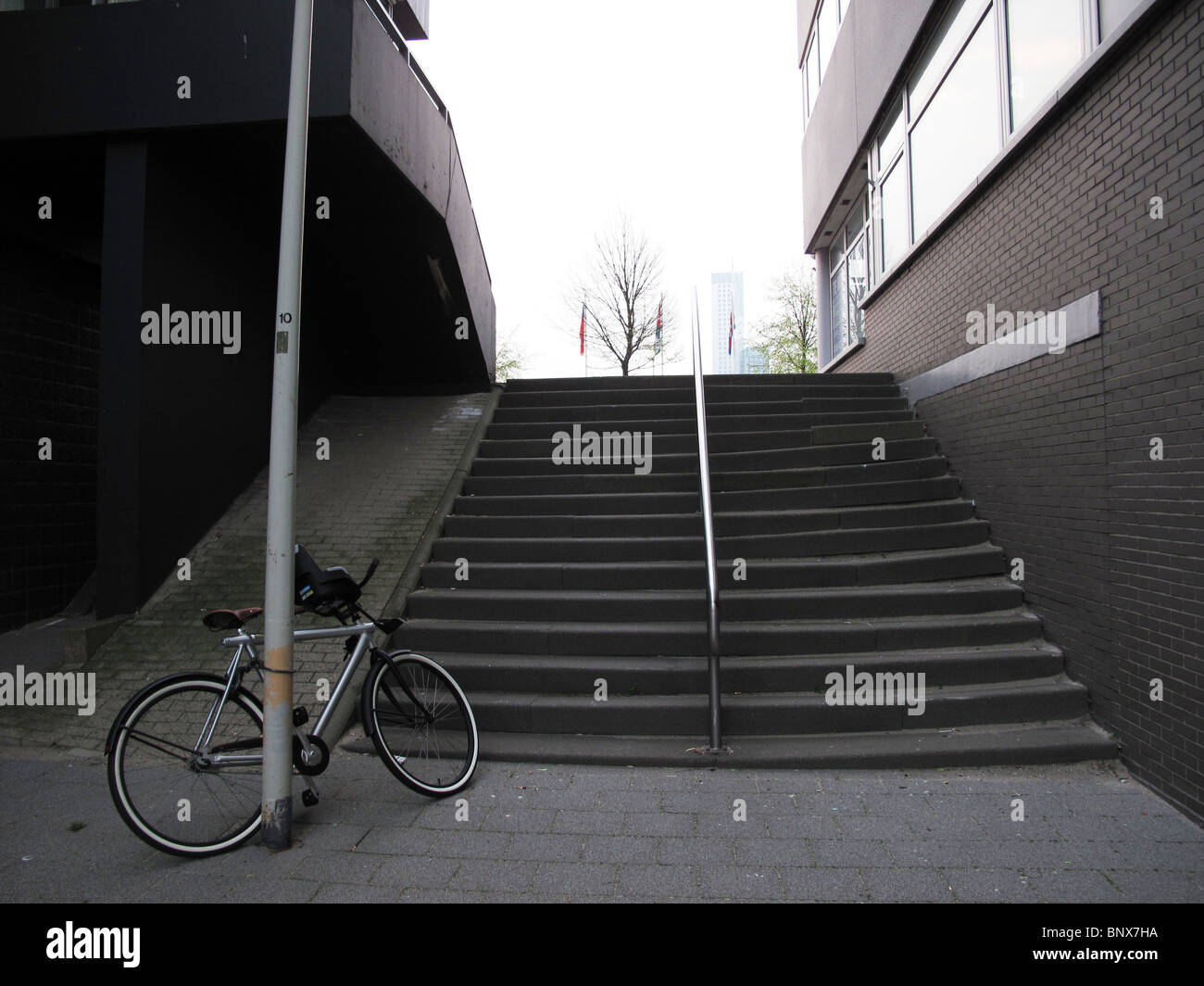 View of a raw of trees through stairs from Terwenakker - Rotterdam ...