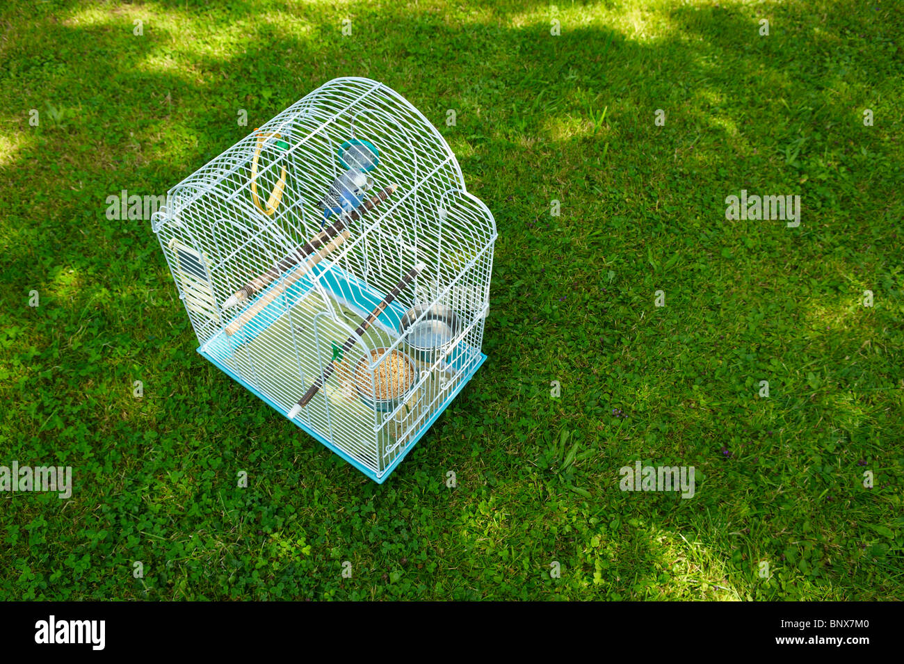 Parrot in cage outside Stock Photo - Alamy