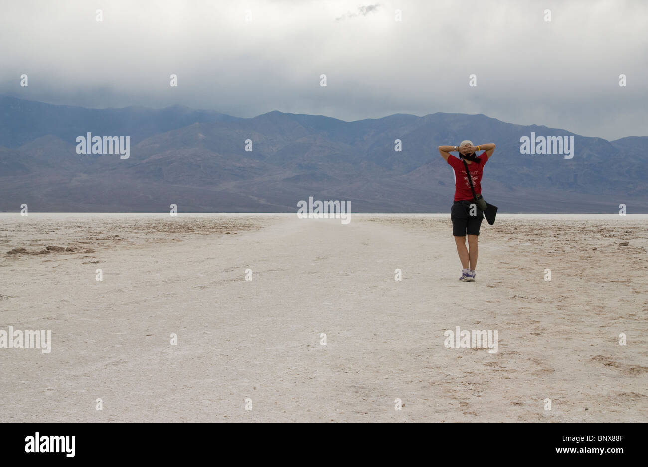dry salt water in the death valley national park Stock Photo - Alamy