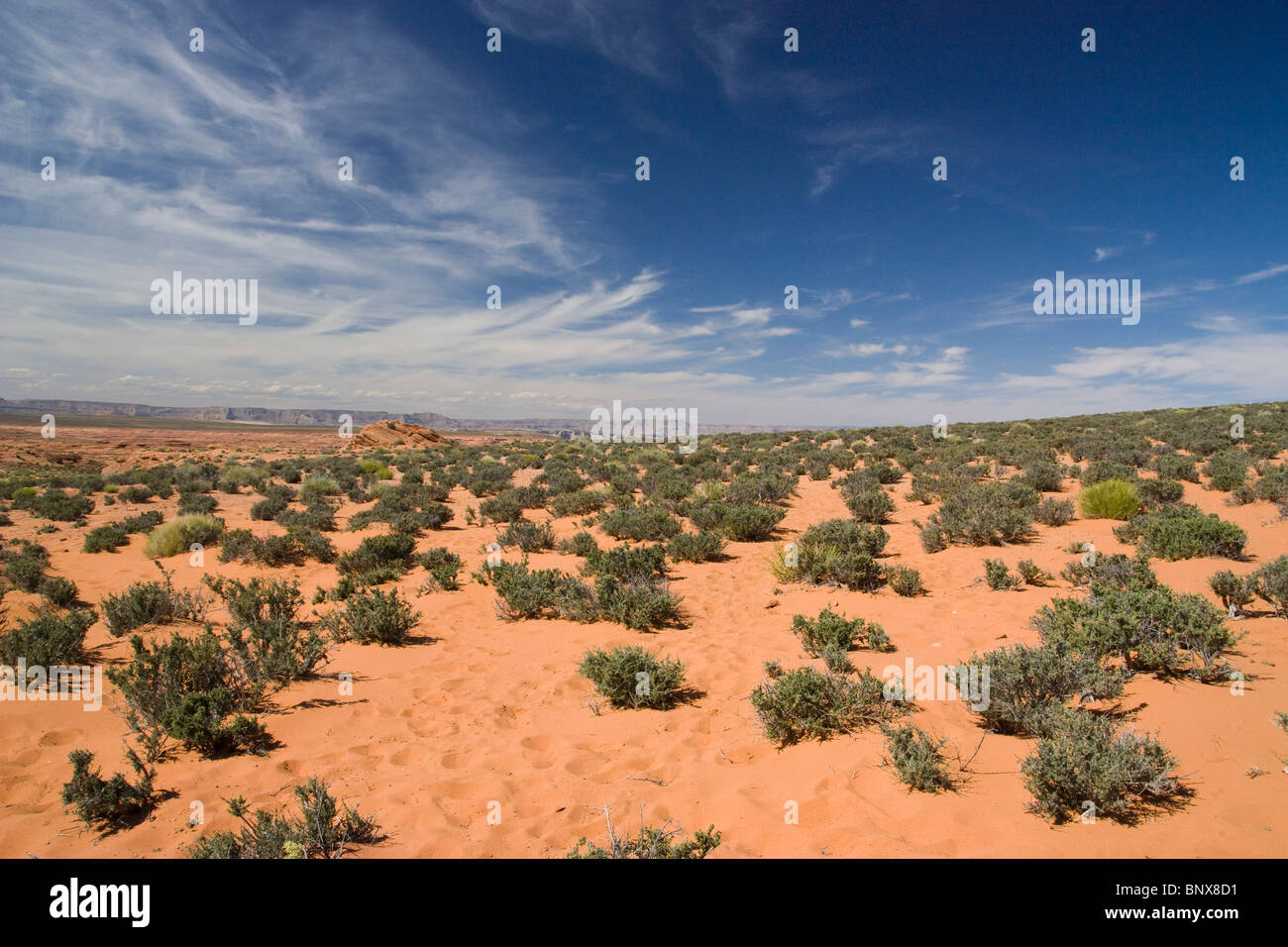 landscape view of the arizona desert in USA Stock Photo - Alamy