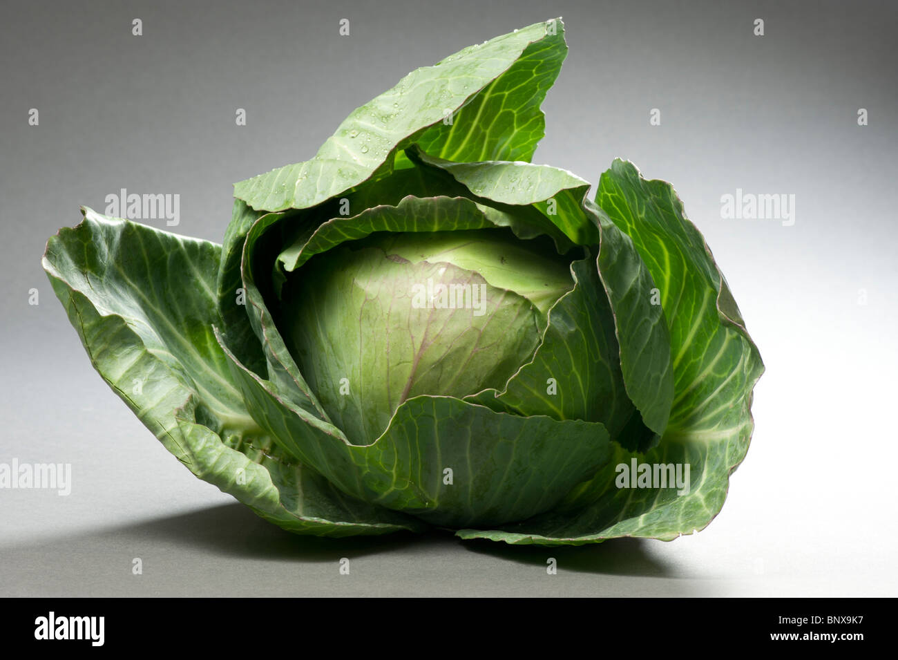 Food magazine cover hi-res stock photography and images - Alamy