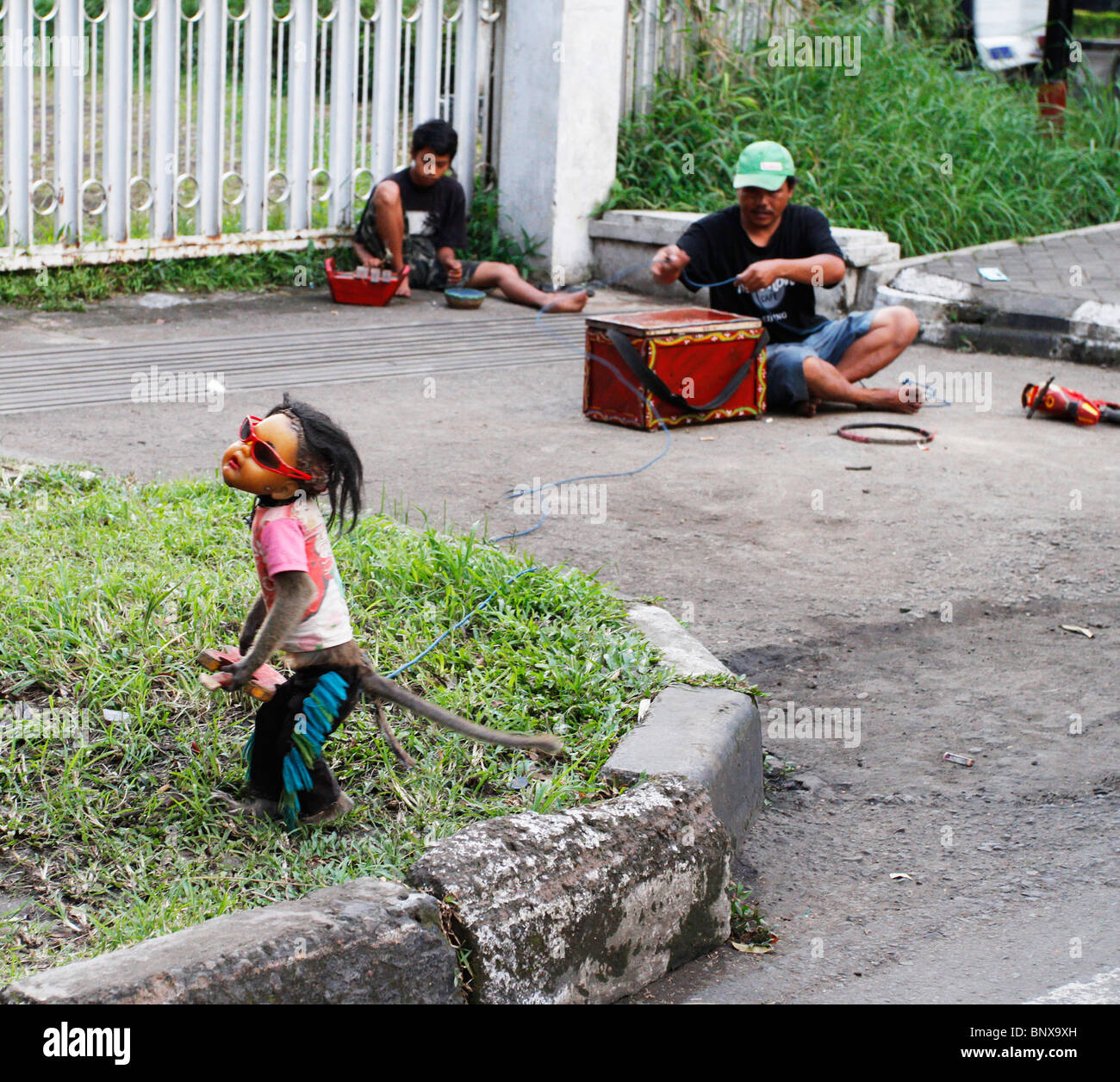 Monkey begging hi-res stock photography and images - Alamy