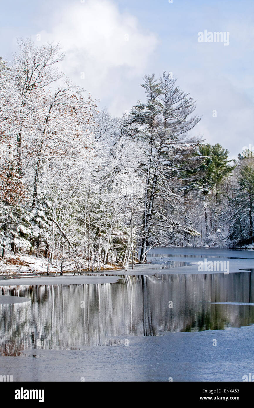 A fresh snowfall along a small pond, Parry Sound, Ontario, Canada Stock ...
