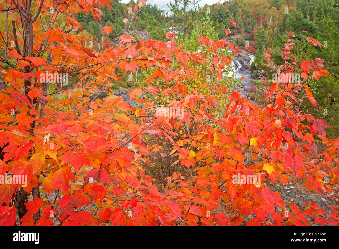 A. Y. Jackson Lookout at High Falls on the Onaping River, Sudbury ...