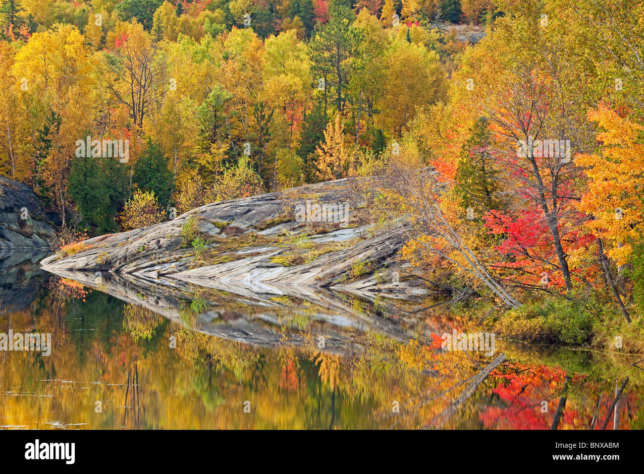 Simon of sudbury hi-res stock photography and images - Alamy