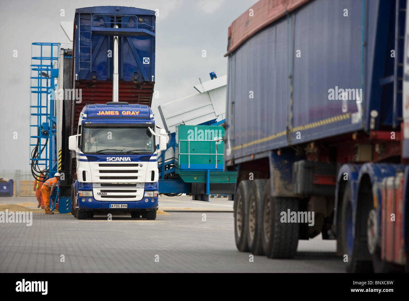 Lorries Loading A Grain Boat at Great Yarmouth grain terminal Stock ...