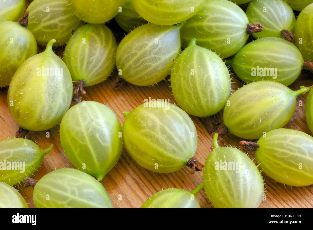 Gooseberry Stock Photos & Gooseberry Stock Images - Alamy