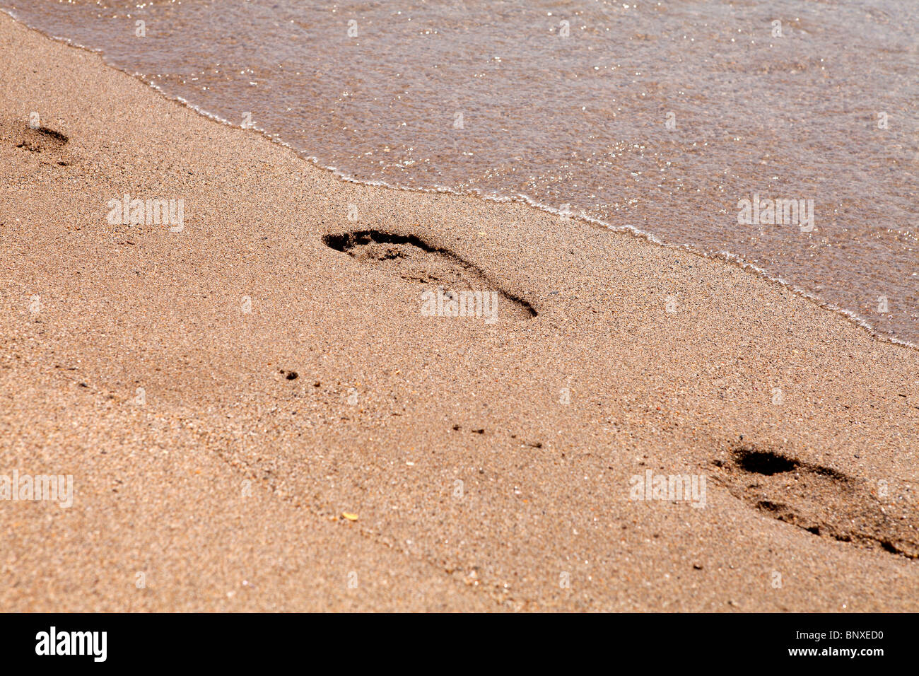 Foot steps on the beach in the shoreline Stock Photo - Alamy