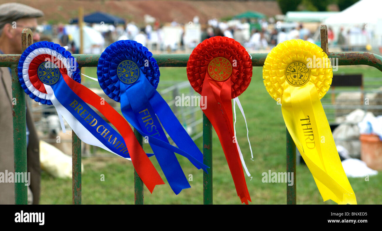 Rosettes proudly displayed at a country show in Mid Devon Stock Photo ...