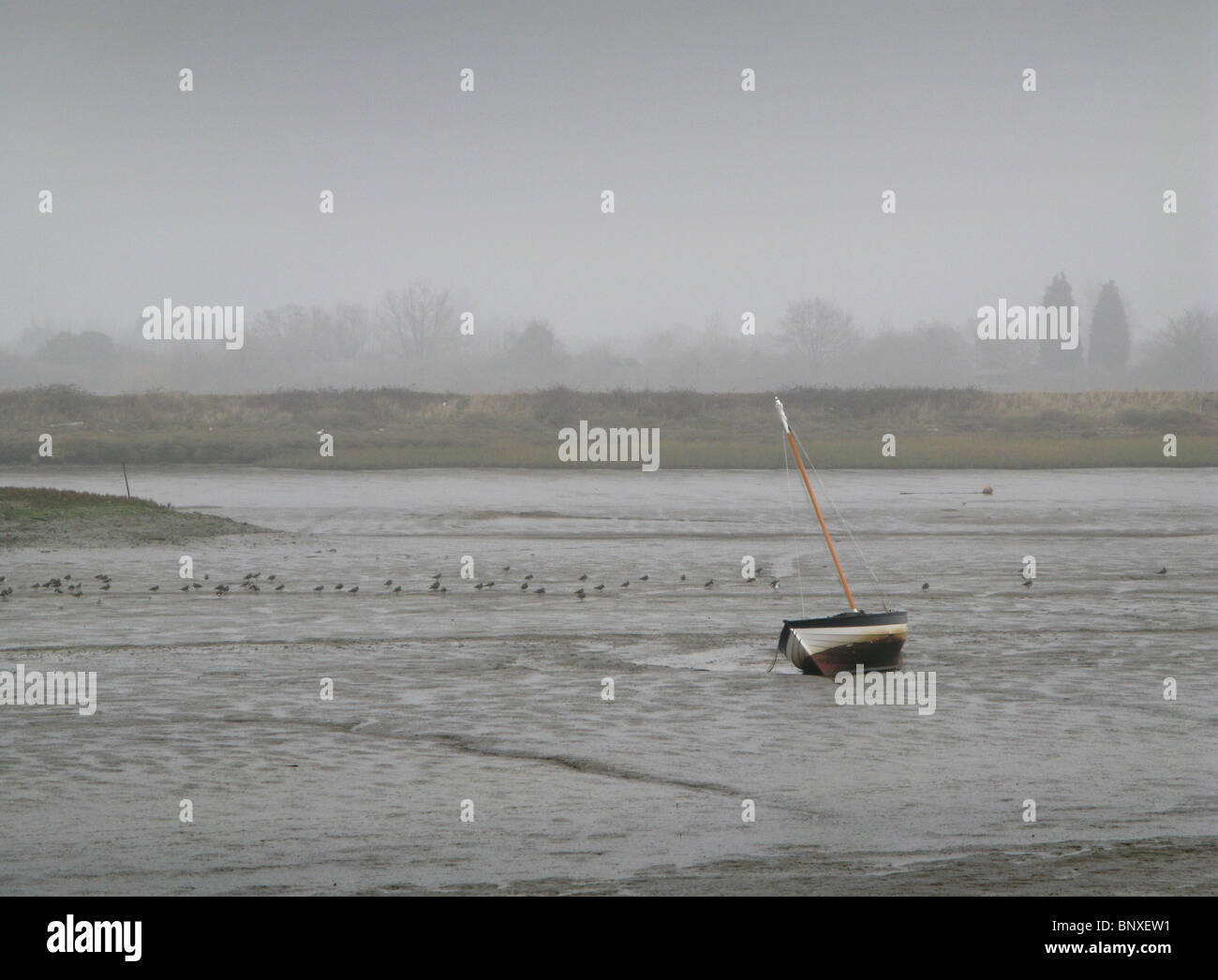 A sailing boat at low tide in the Blackwater Estuary, Maldon, Essex ...