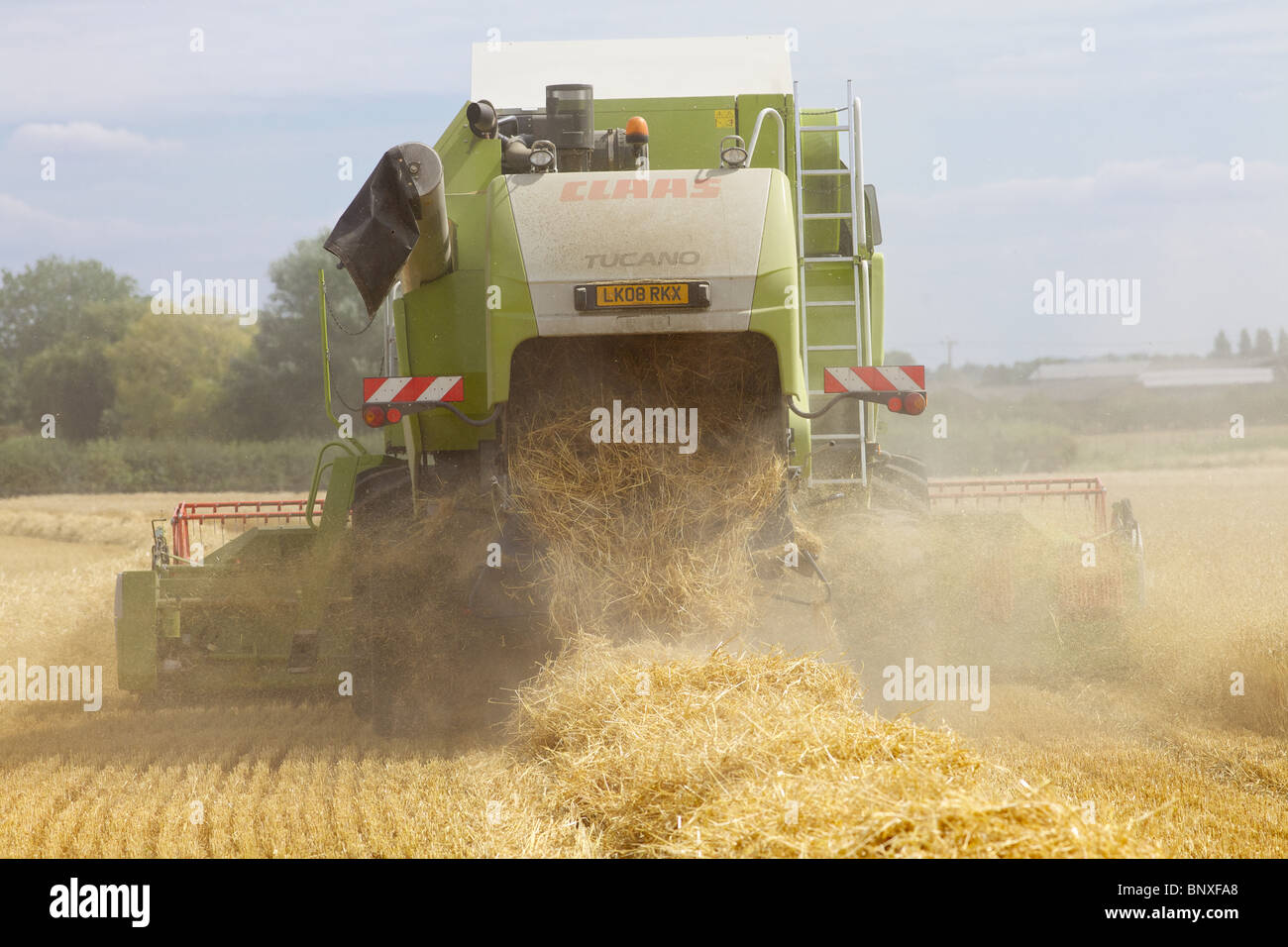 Cutting the wheat in England Stock Photo - Alamy