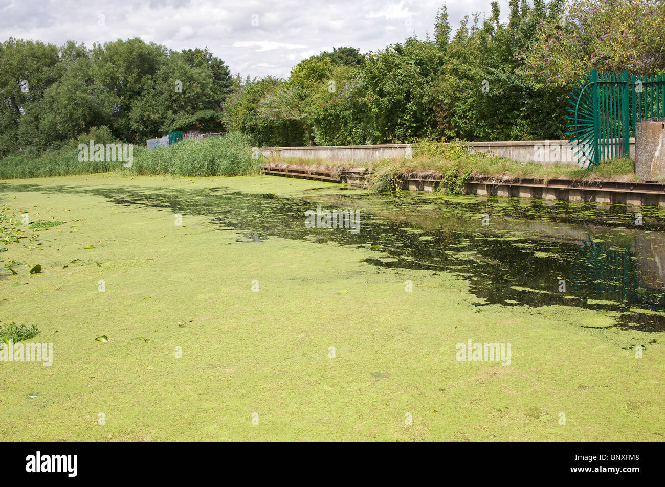 Gipping ipswich hi-res stock photography and images - Alamy