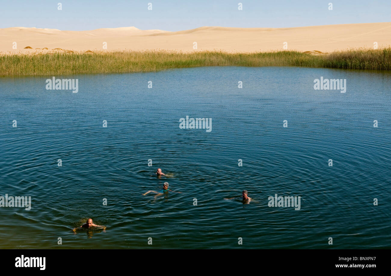 cold spring pool in the desert near Siwa Oasis in Egypt Stock Photo - Alamy