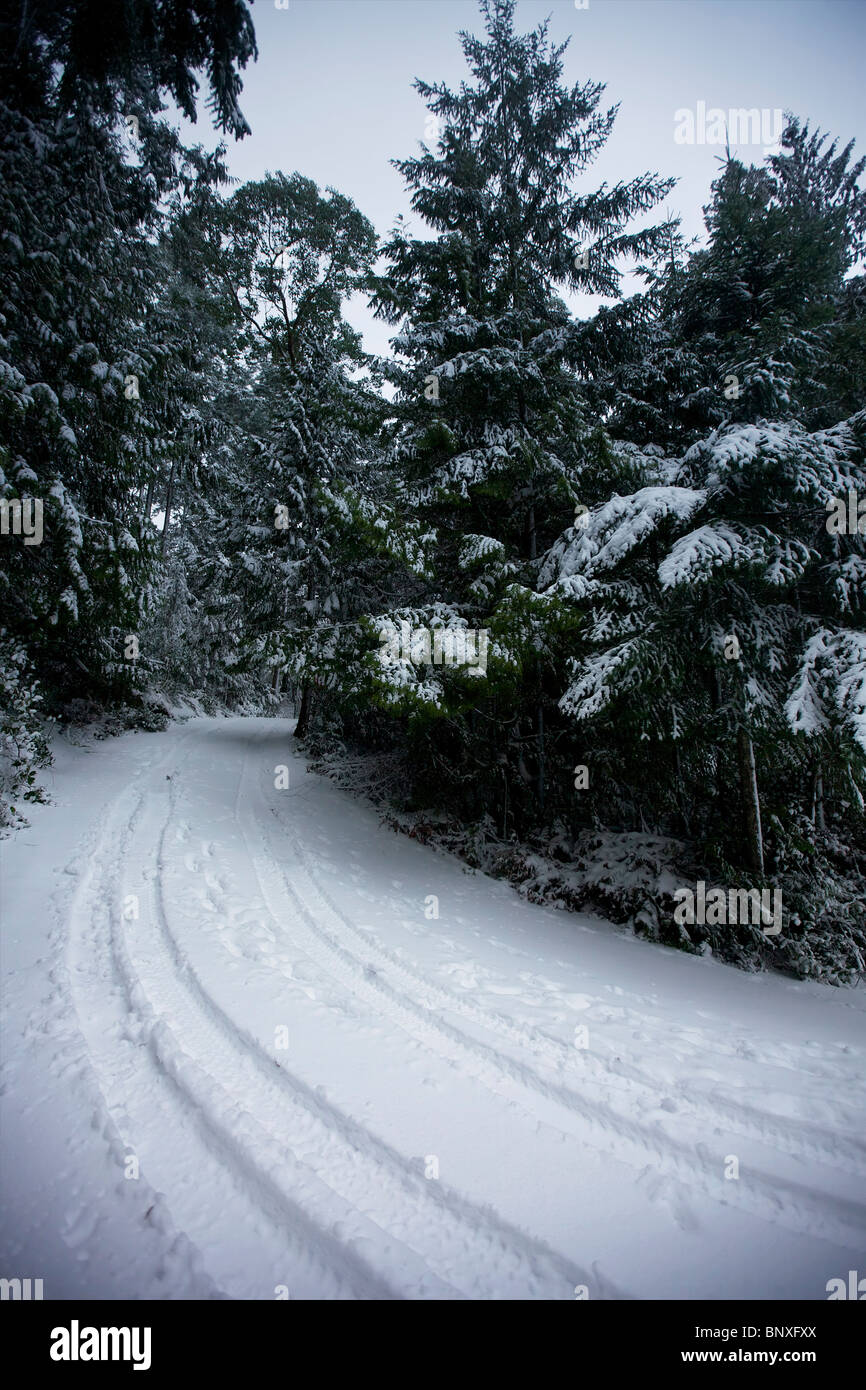 Thetis island hi-res stock photography and images - Alamy