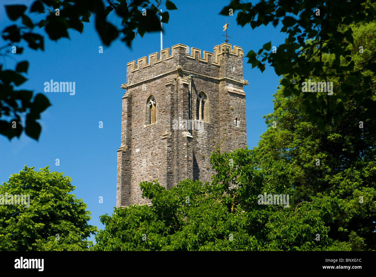 A country church tower amidst trees with a blue summer sky Stock Photo ...