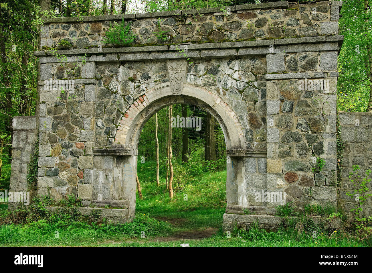 Portal tree hi-res stock photography and images - Alamy