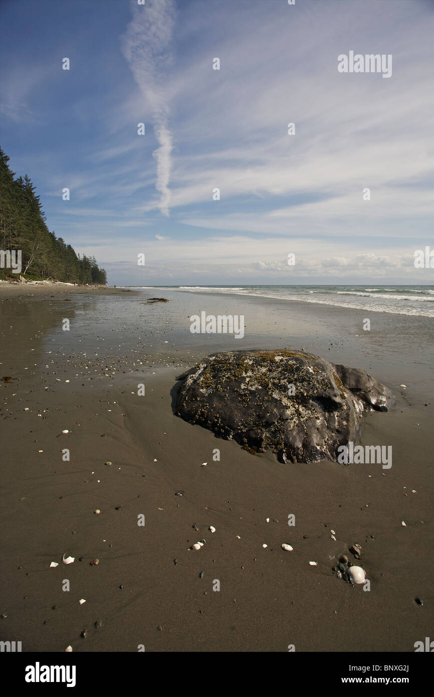 China beach vancouver island hi-res stock photography and images - Alamy