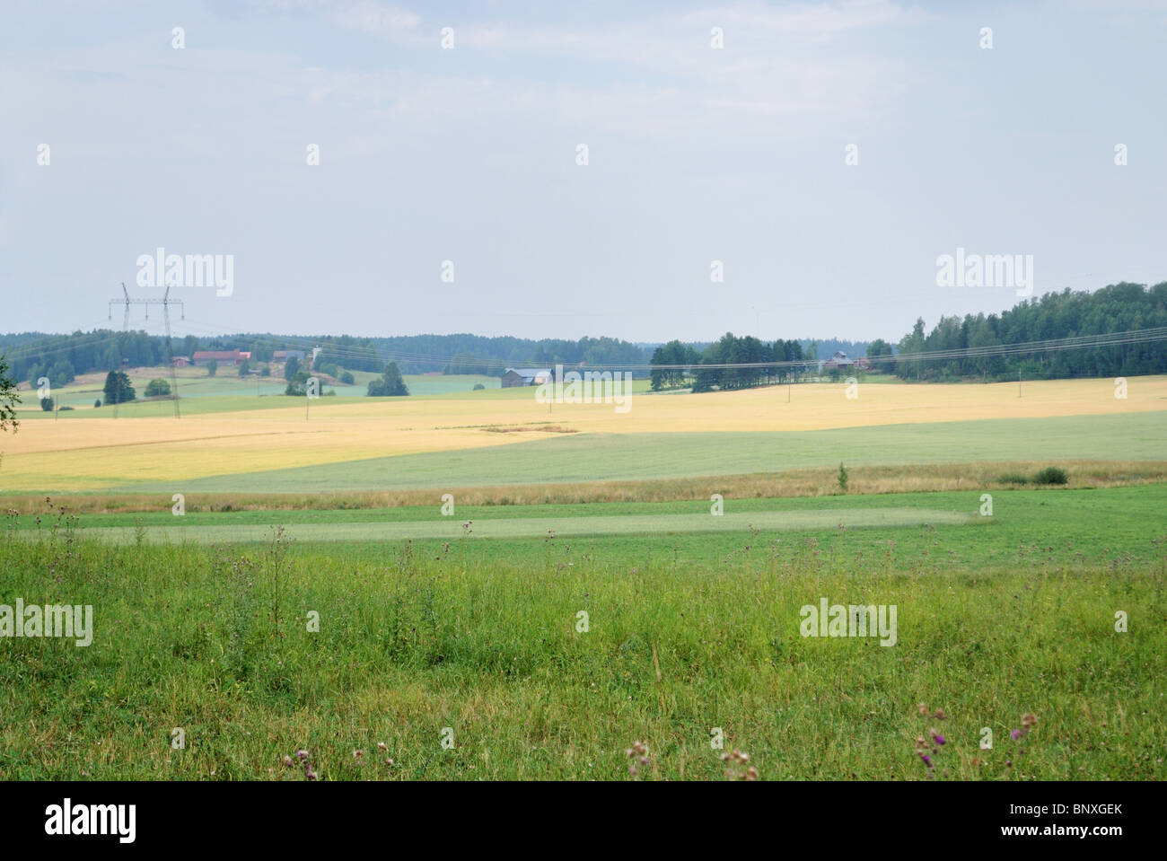 Finland fields hi-res stock photography and images - Alamy