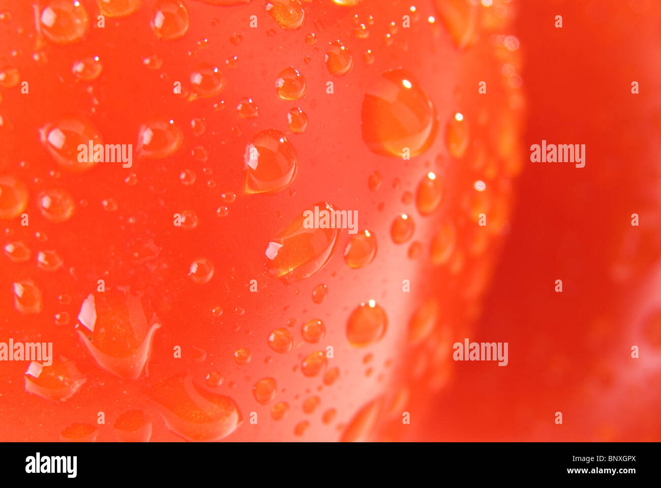 The dewy red tomato skin Stock Photo - Alamy