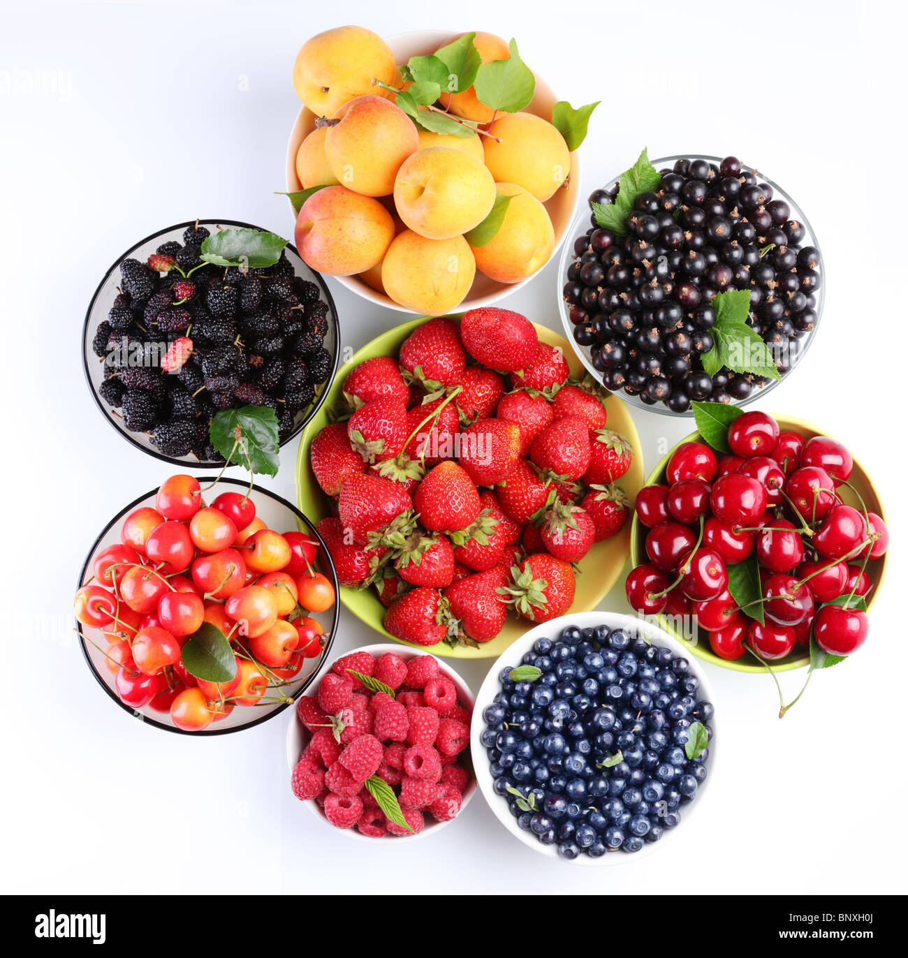 Different leaf hi-res stock photography and images - Alamy