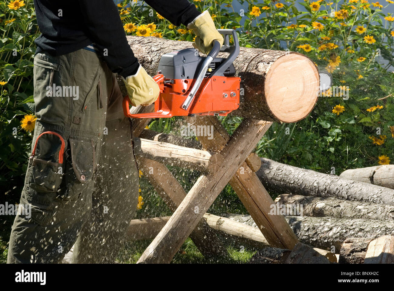 Log of wood hi-res stock photography and images - Alamy