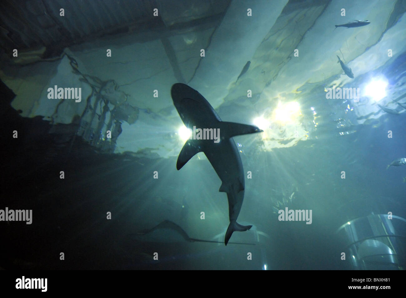 The Deep Submarium In Hull Yorkshire Stock Photo - Alamy