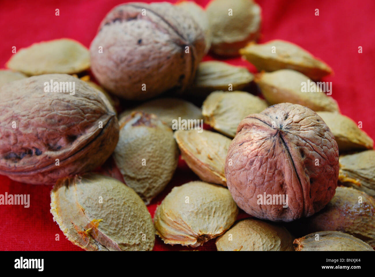 Several nuts with shell hi-res stock photography and images - Alamy