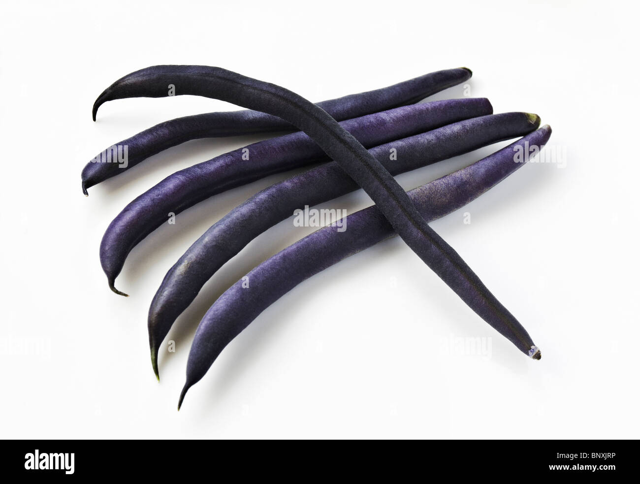 Purple French Beans [Purple Queen] Stock Photo - Alamy