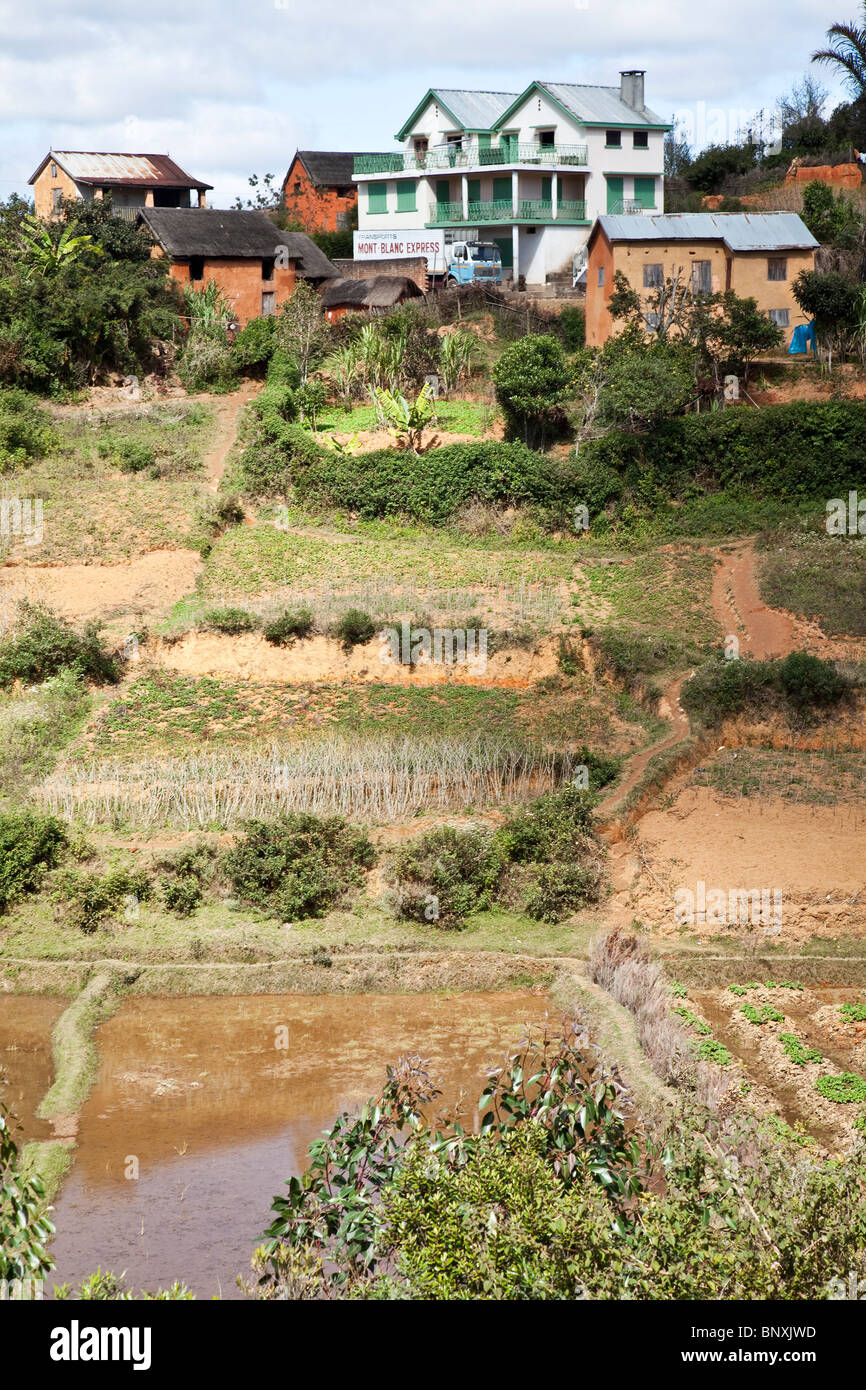 Madagascar rice terrace hi-res stock photography and images - Alamy