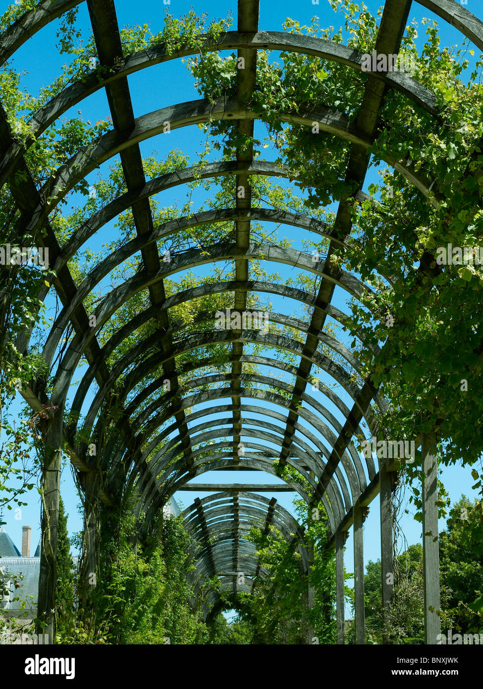 Timber pergolas hi-res stock photography and images - Alamy