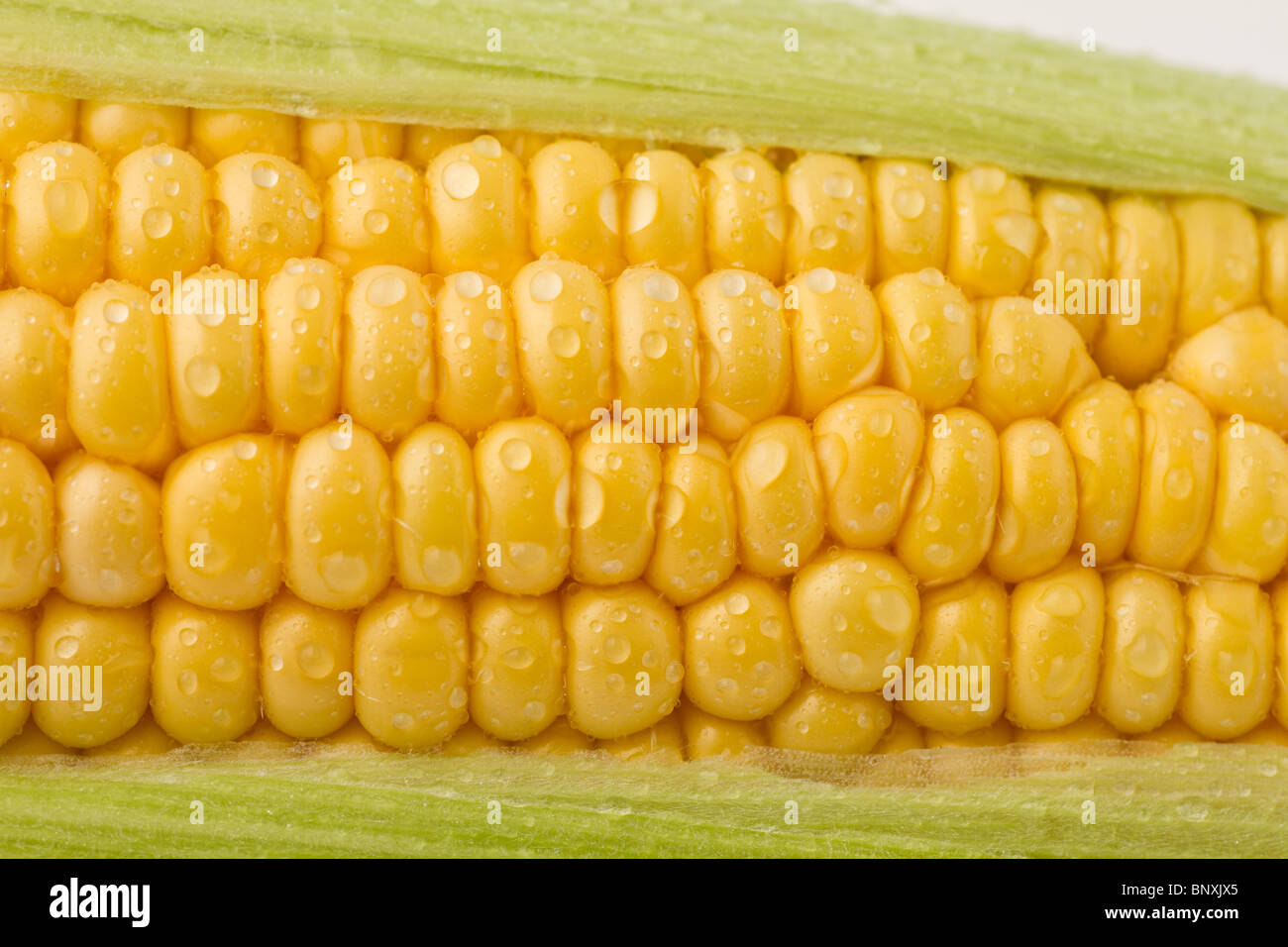 Sweet corn on cob Stock Photo - Alamy