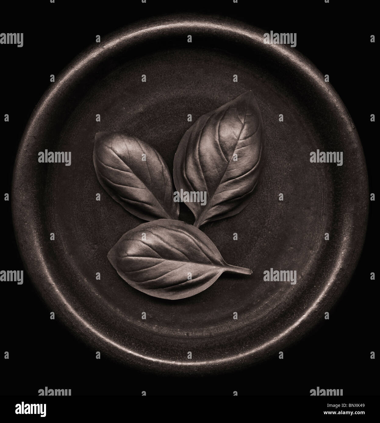 Basil leaves on round dish Stock Photo - Alamy