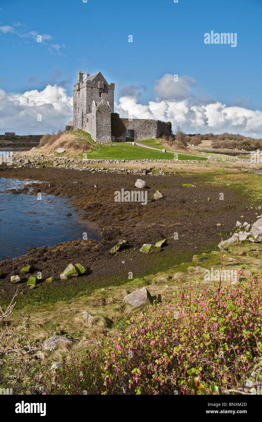 irish castle by the sea Stock Photo - Alamy