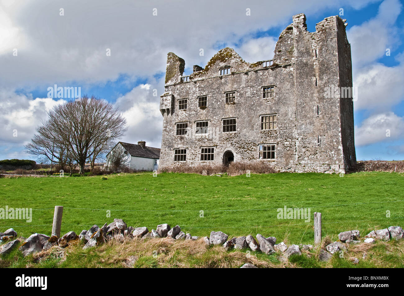 rural irish castle scenic landscape Stock Photo - Alamy