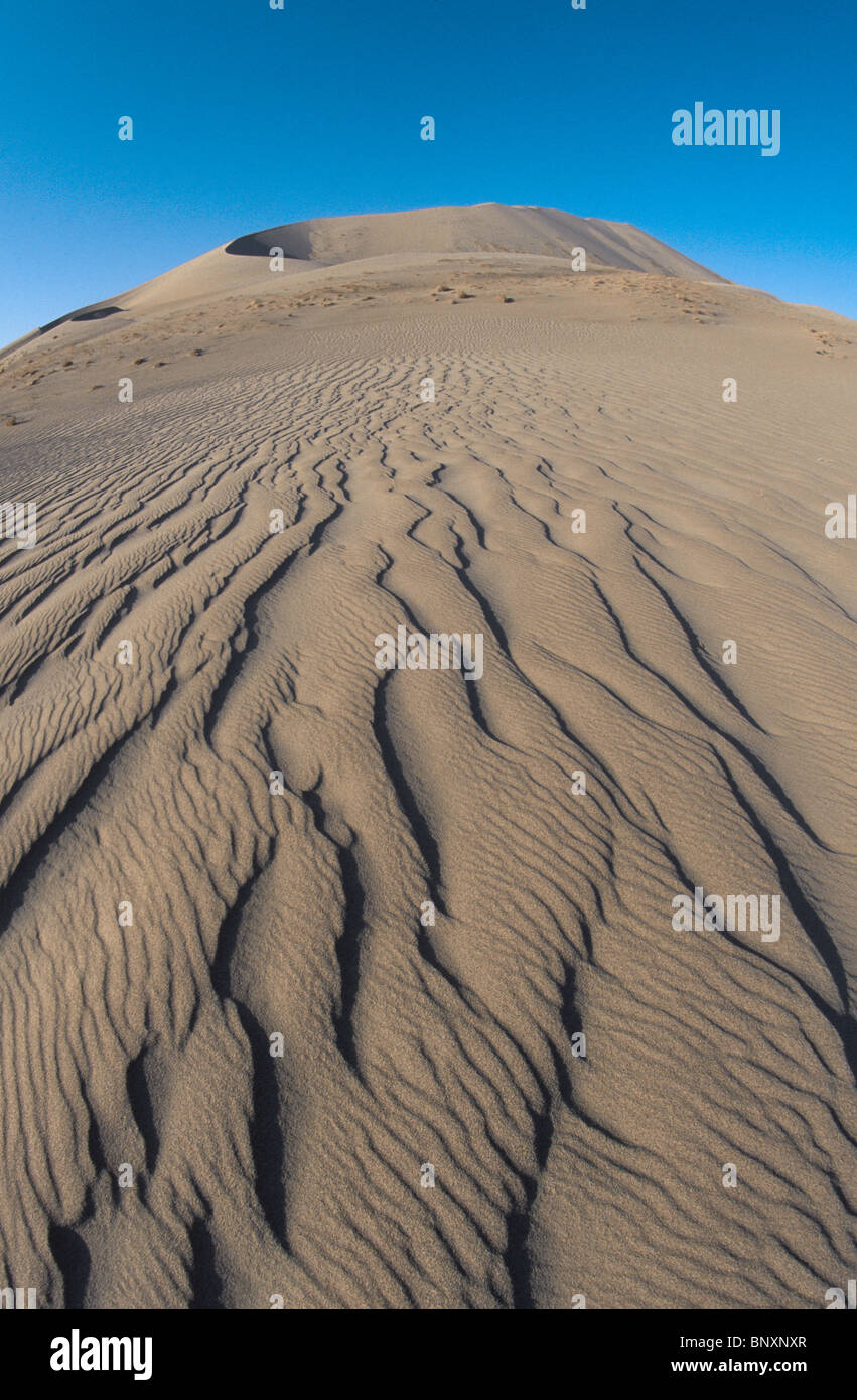 Wind ripples on Eureka Sand Dunes, Death Valley, California, USA Stock ...