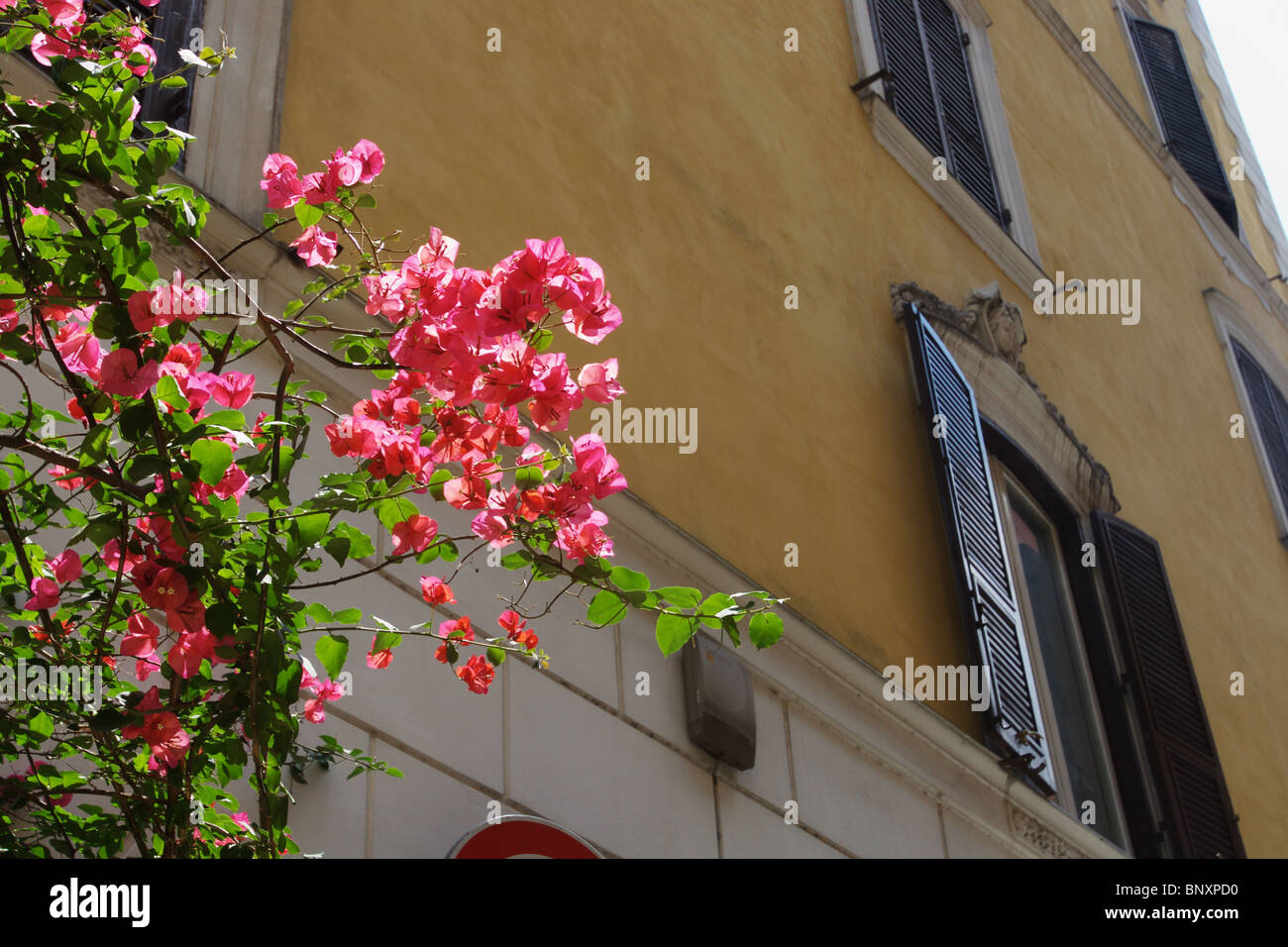 Ancient building facade in Rome Italy. District Borgo Pio near Vatican ...