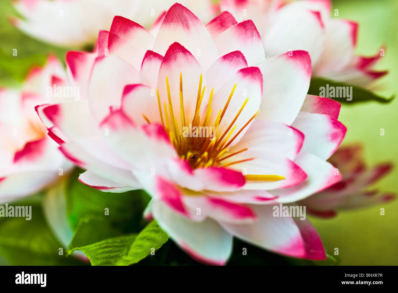 Close up of silk flower arrangements hi-res stock photography and ...