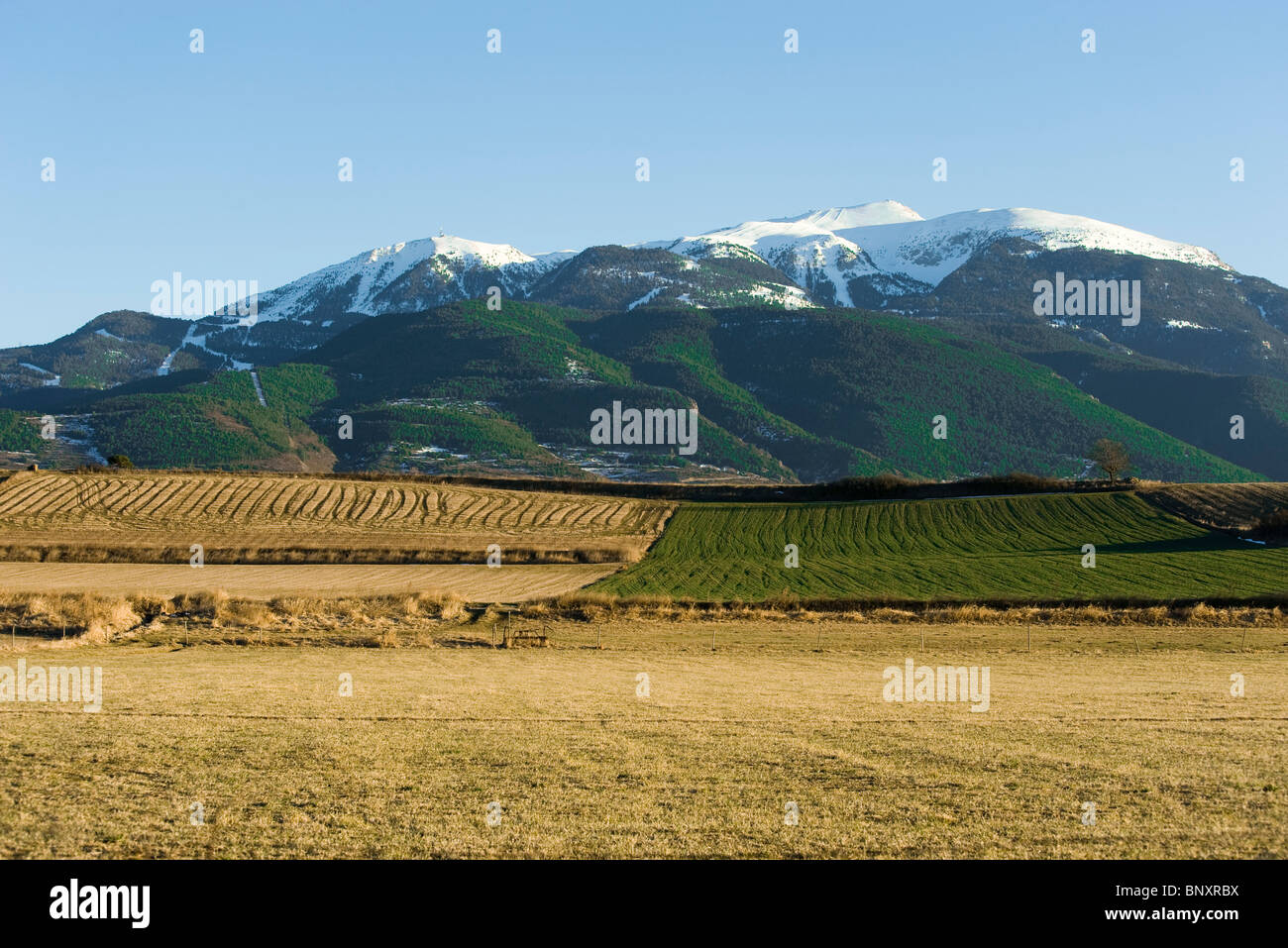Spain, countryside with Pyrenees in background Stock Photo - Alamy