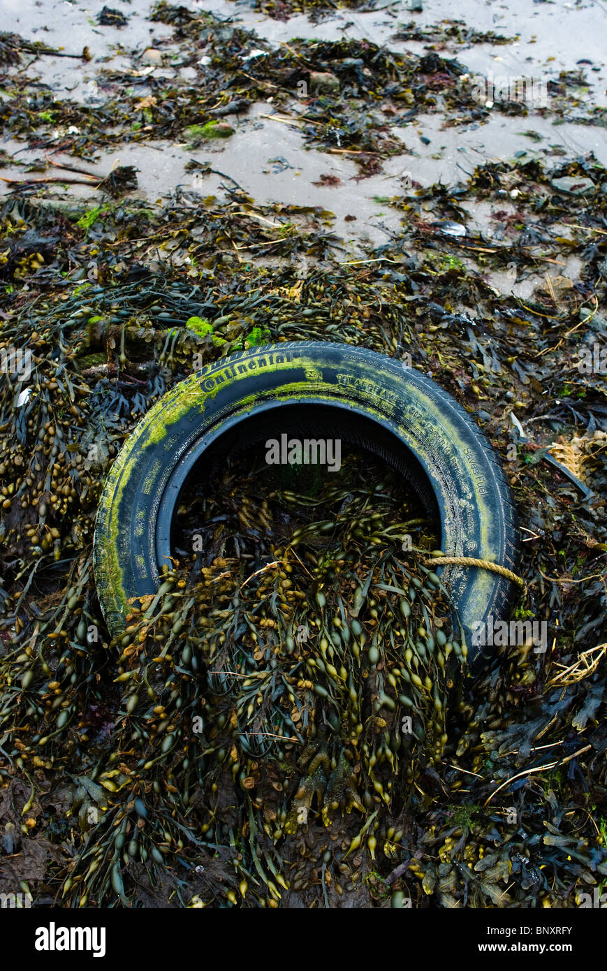 A dumped tyre makes an interseting composition with seaweed Stock Photo ...