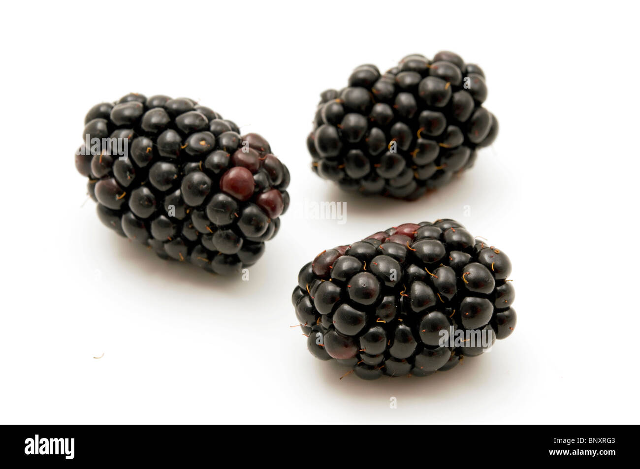Blackberries on a white background Stock Photo - Alamy