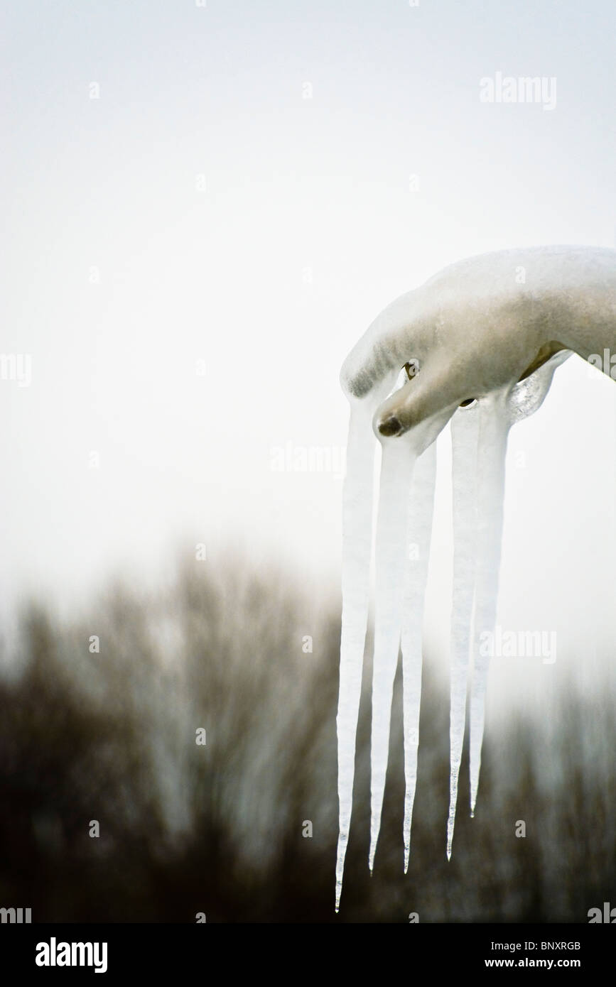 Icicle sculptures hi-res stock photography and images - Alamy