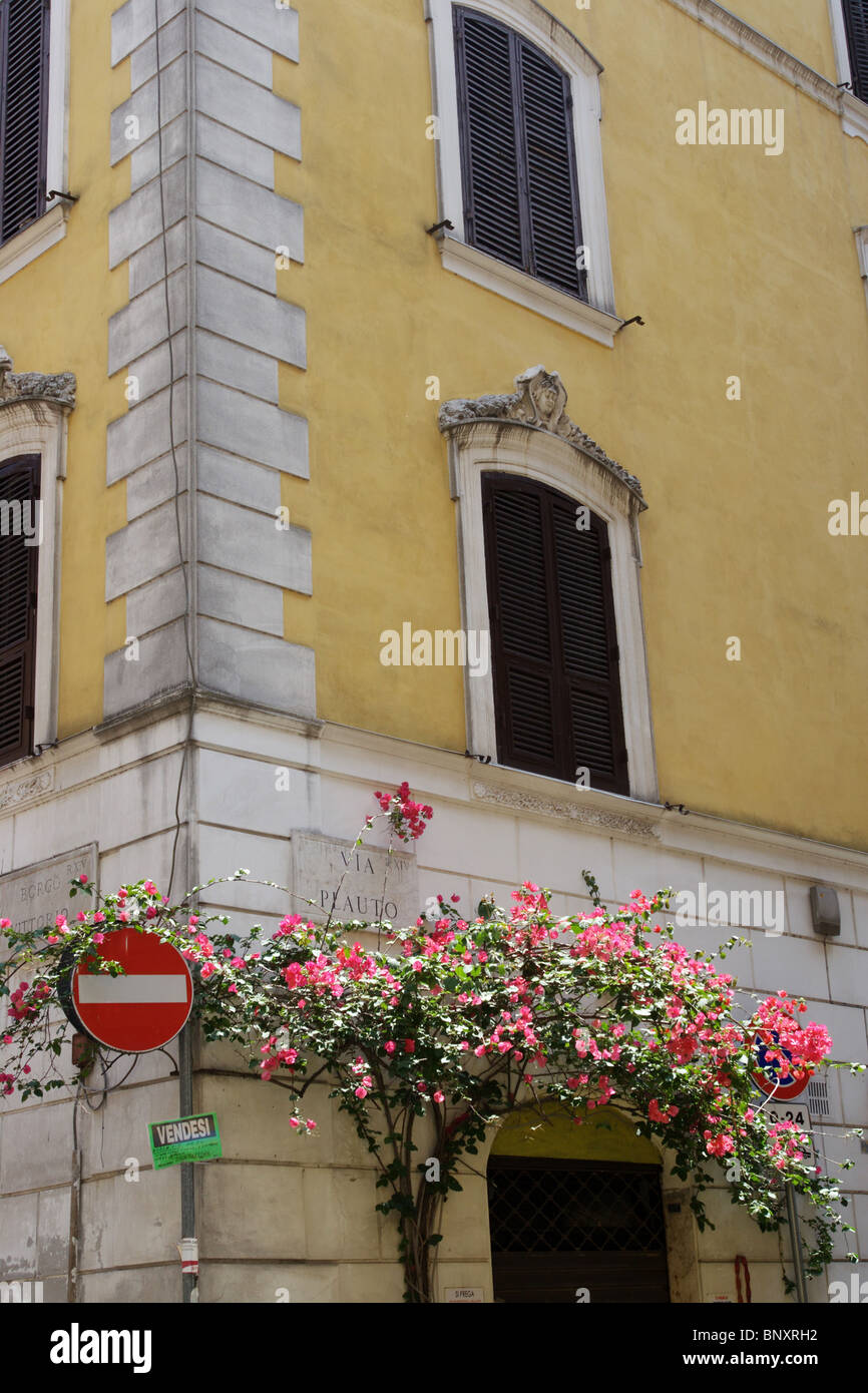 Borgo Pio High Resolution Stock Photography and Images - Alamy