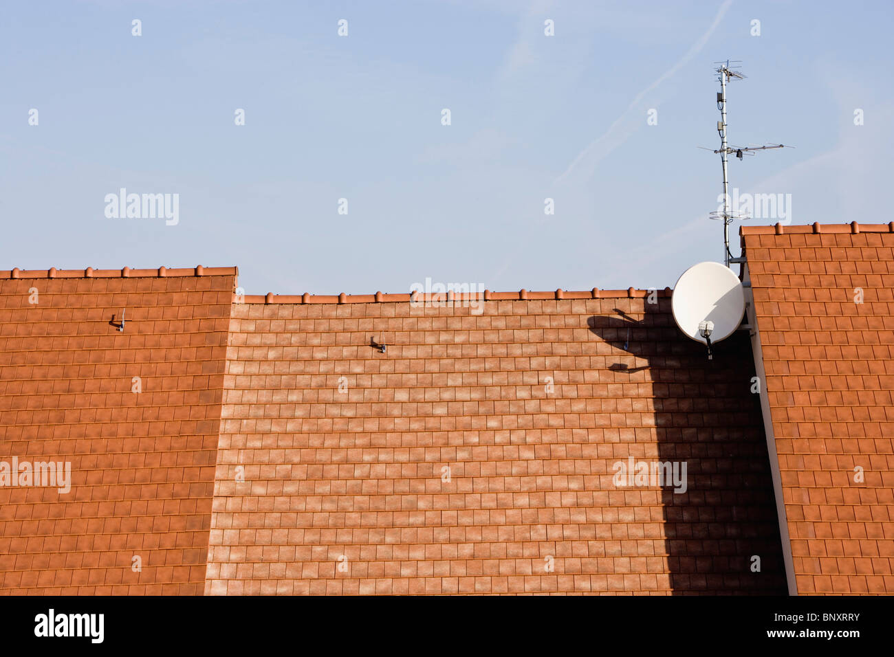 Dish images hi-res stock photography and images - Alamy