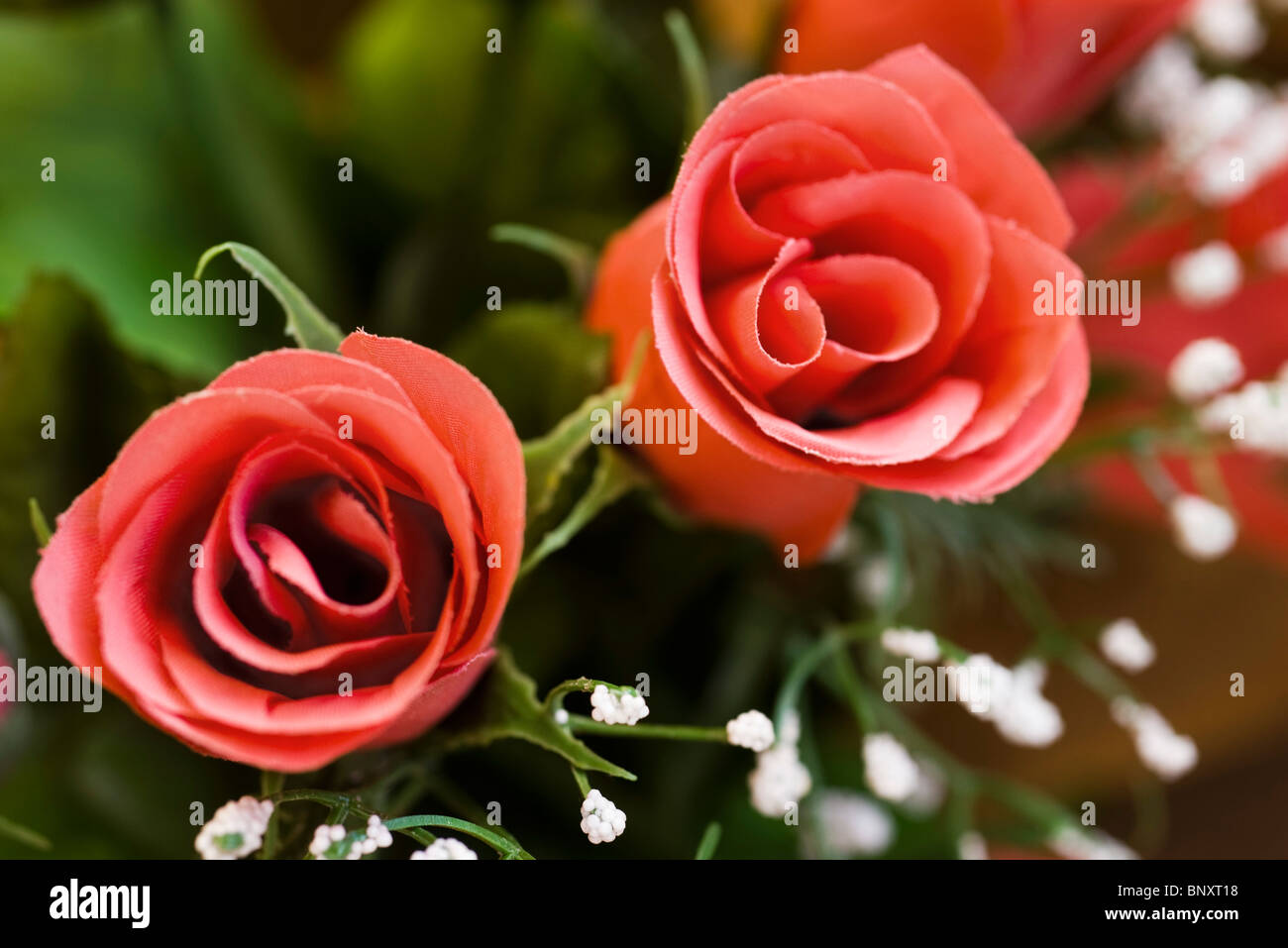 Rose silks hi-res stock photography and images - Alamy