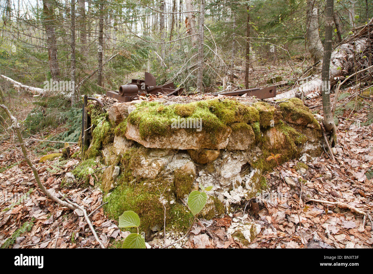 Mad River Drainage Logging Era - Artifacts near the Camp 5 Waterville ...
