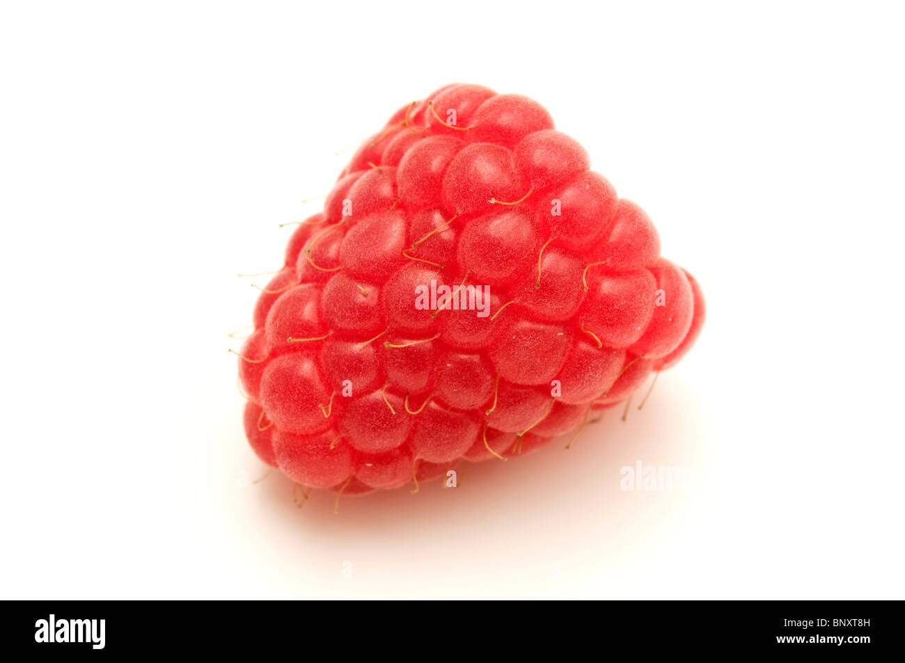 Raspberry cut out hi-res stock photography and images - Alamy
